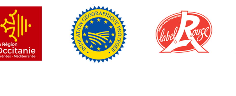 Echalote de nos campagnes | Ail noir et rose de Lautrec - Producteur